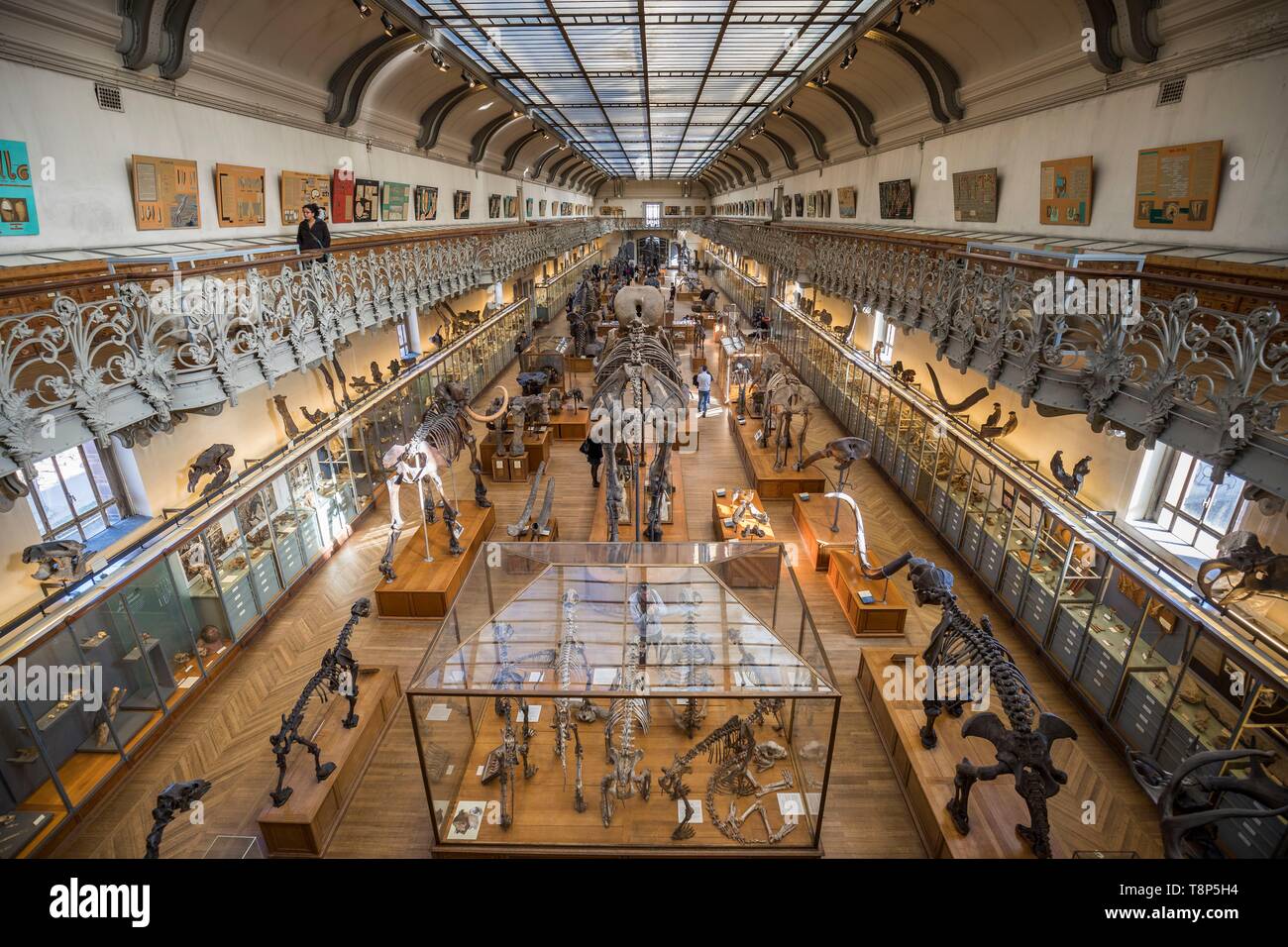 France, Paris, Jardin des Plantes, National Museum of Natural History ...