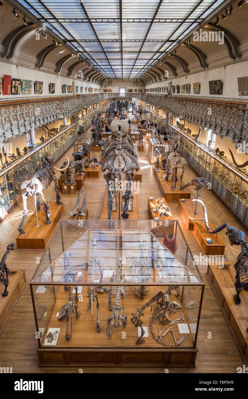 France, Paris, Jardin des Plantes, National Museum of Natural History ...