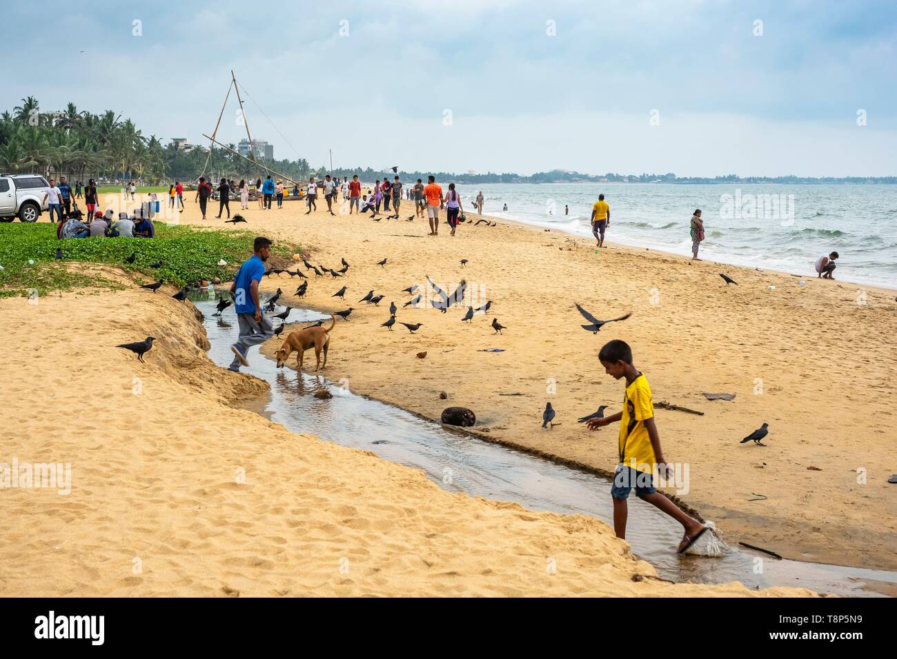 Sri Lanka, Western province, Negombo, Negombo beach Stock Photo - Alamy