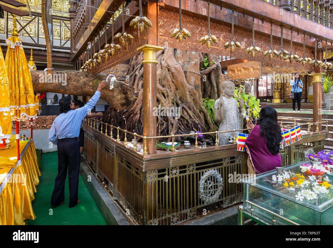 Sri Lanka, Colombo, Wekanda district, Gangaramaya Buddhist temple Stock ...