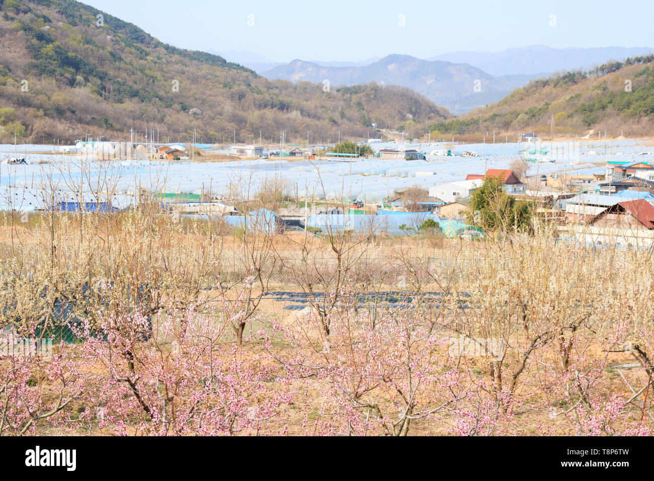 calm and peaceful landscape, spring landscape in the country Stock ...