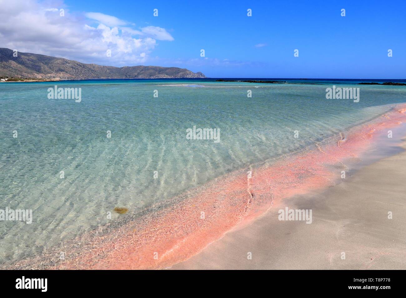 Pink sand beach of Elafonisi - Crete Island, Greece Stock Photo - Alamy