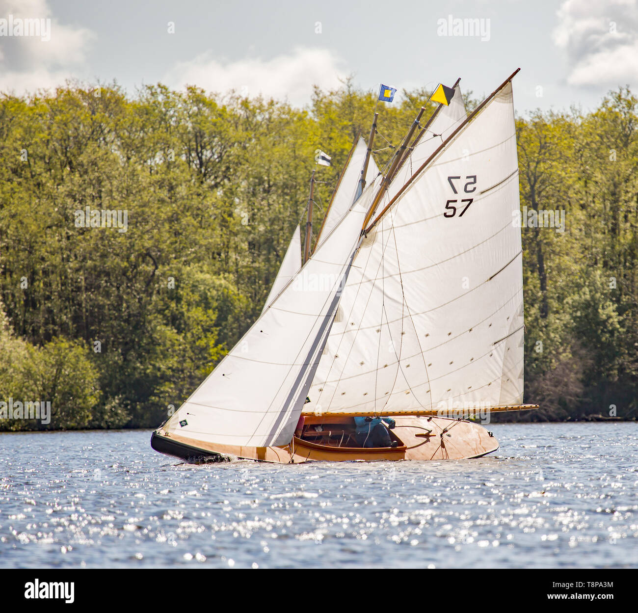 Sail Boat Racing Gala On Wroxham Broad Norfolk The Sail Of A Brown