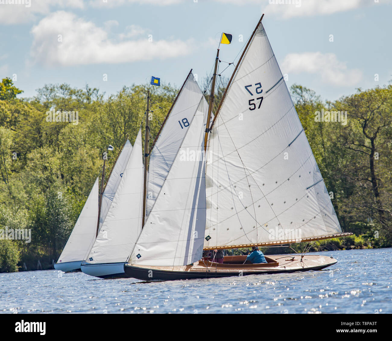 Sail boat racing gala on Wroxham Broad, Norfolk. Three brown boats in a ...