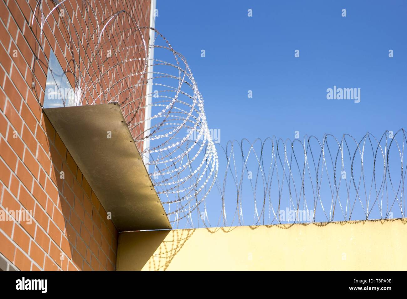 Bielefeld senne hi-res stock photography and images - Alamy