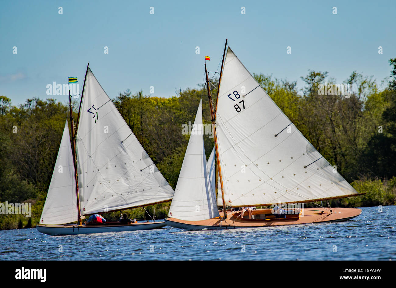 Sail boat racing gala on Wroxham Broad, Norfolk. . Two brown boats are ...