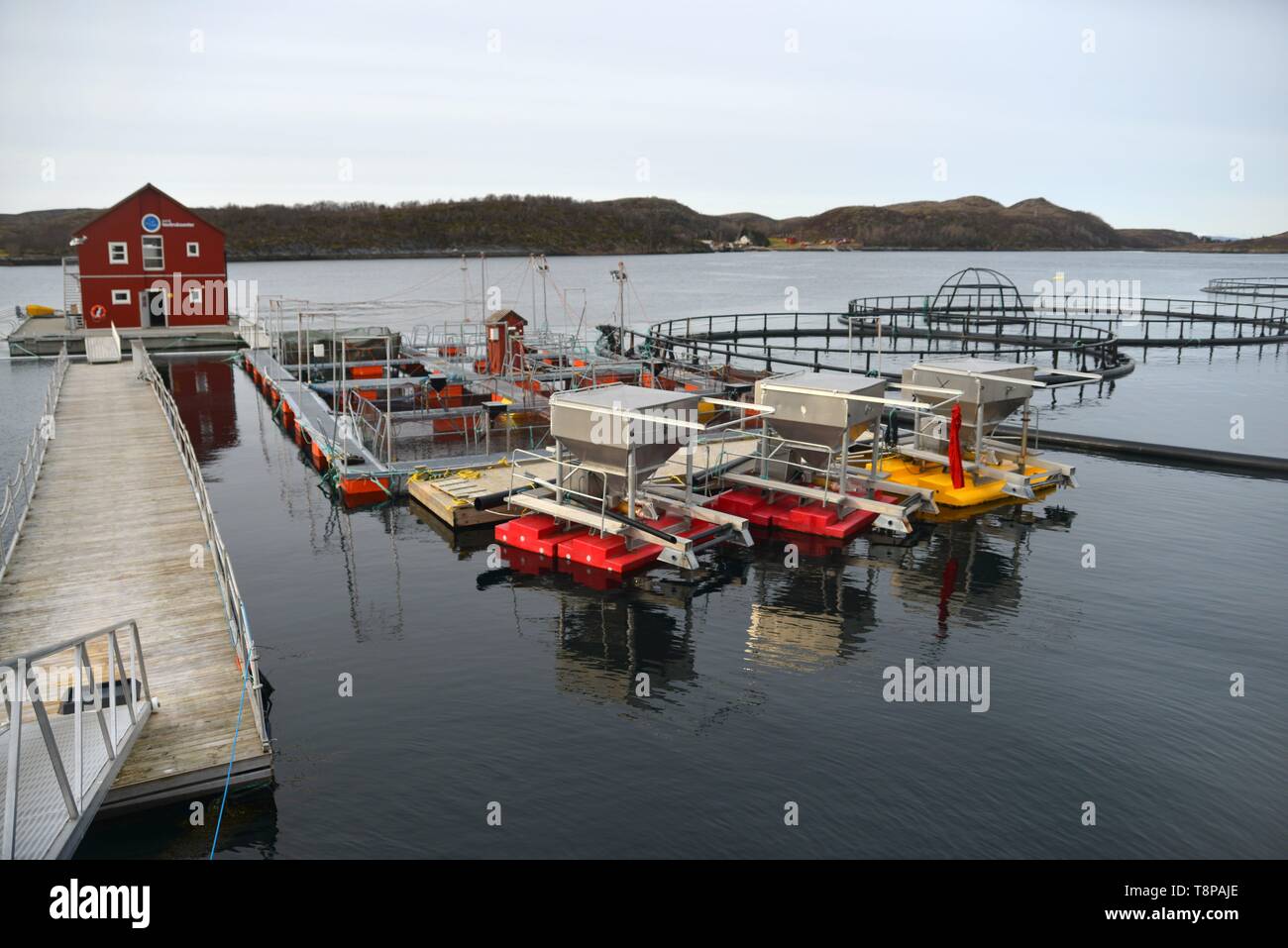 A salmon breeding station near Brønnøysund | usage worldwide Stock ...