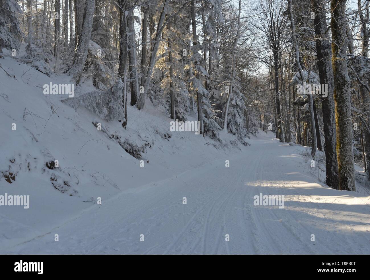 Sunny mountain scene hi-res stock photography and images - Alamy