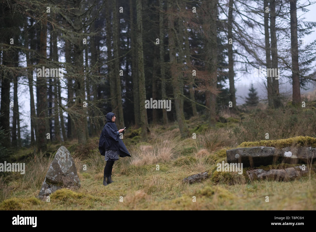 Phone reception forest hi-res stock photography and images - Alamy
