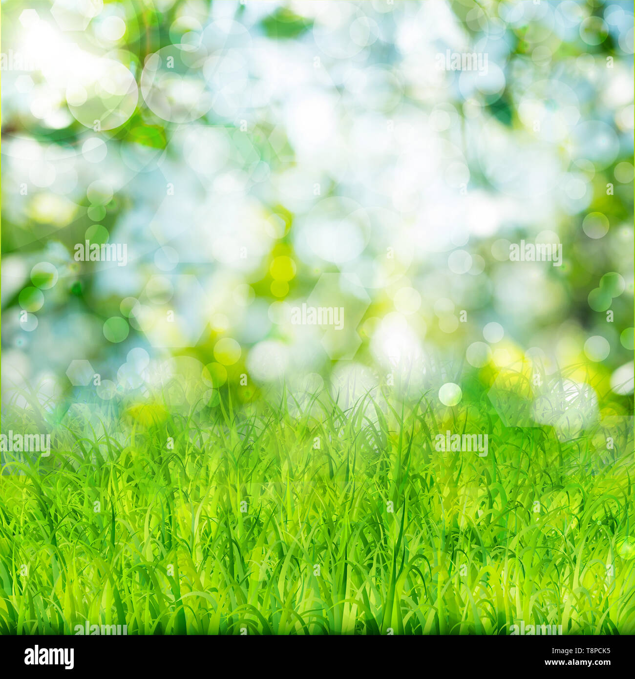 Green nature background with grass Stock Photo - Alamy