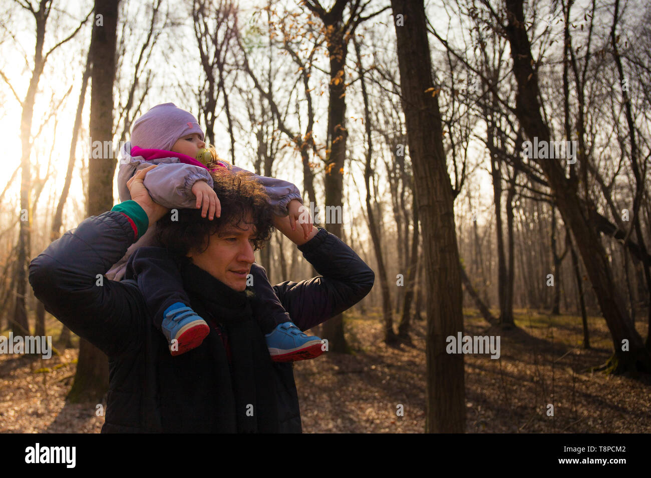 Young dad carrying baby on his shoulders in a forest at sunset Stock ...
