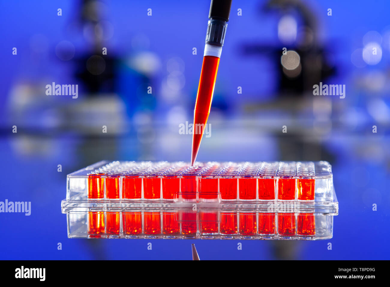 Laboratory blood test or lab testing samples of blood or a red solution ...