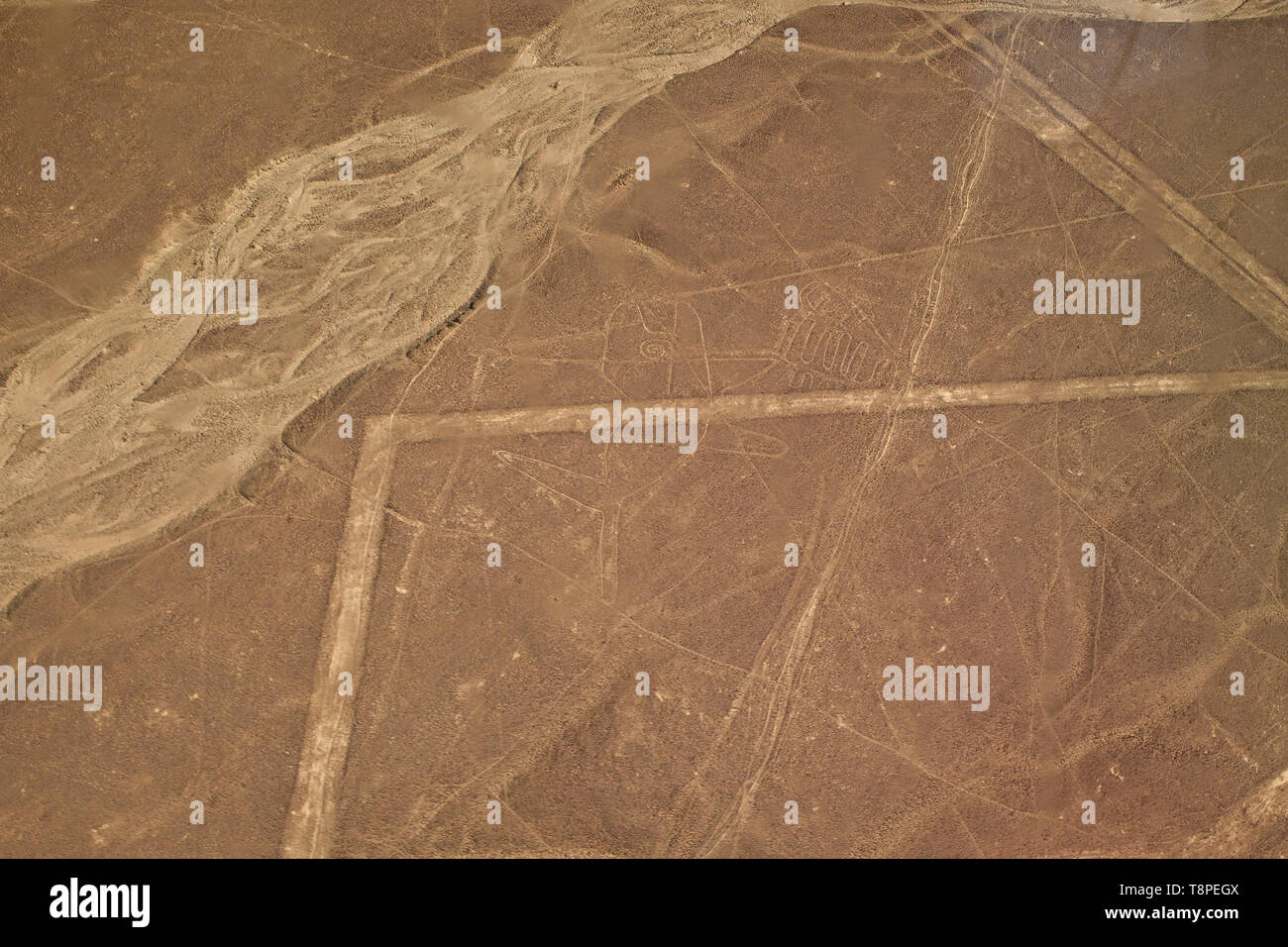 Nazca lines in Peru from an airplane Stock Photo - Alamy