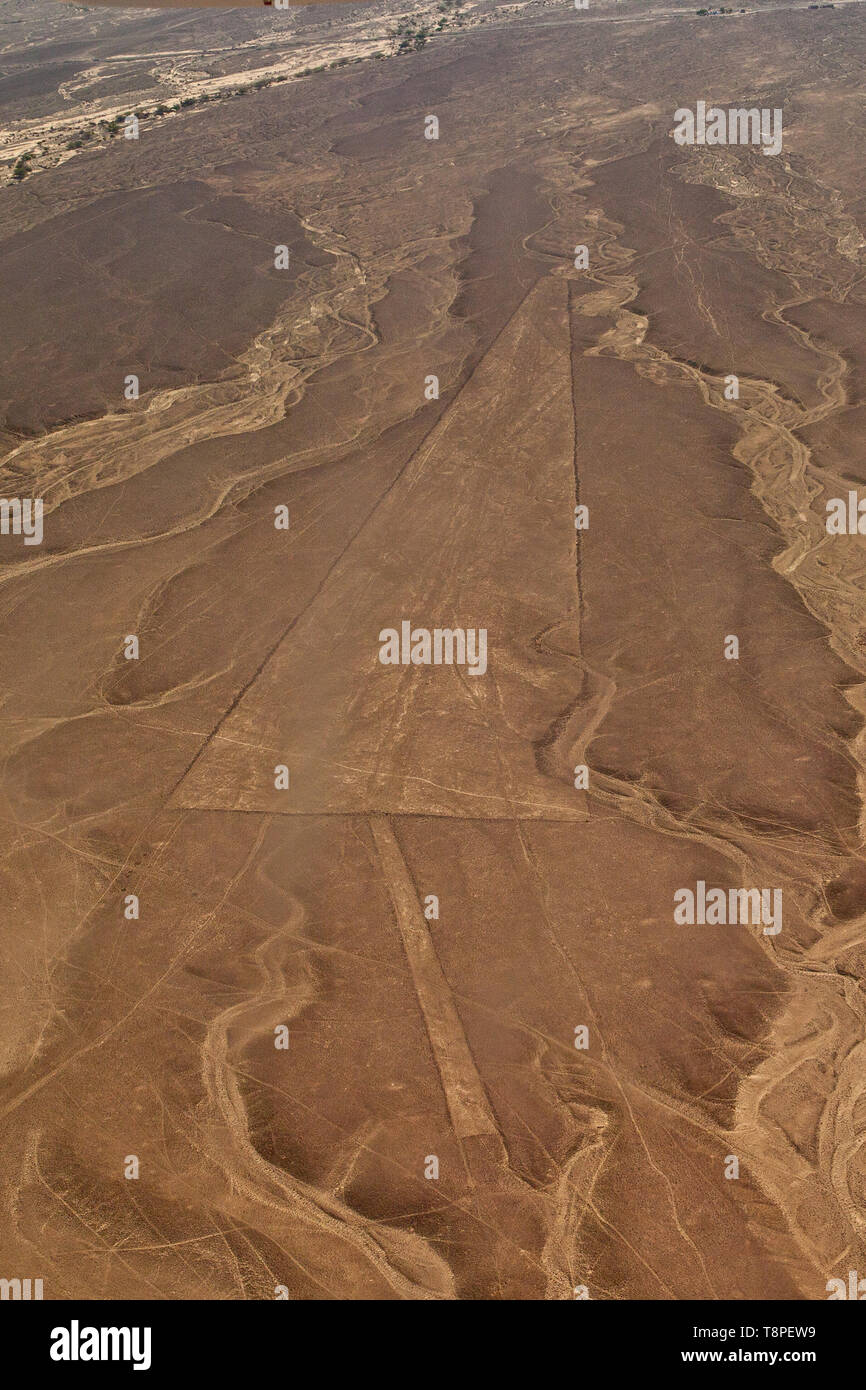 Nazca lines peru tree hi-res stock photography and images - Alamy