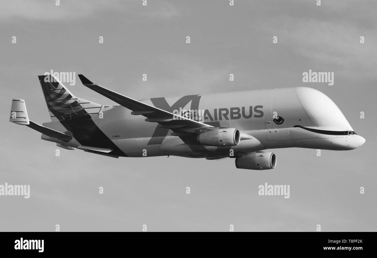Beluga a330 Black and White Stock Photos & Images - Alamy