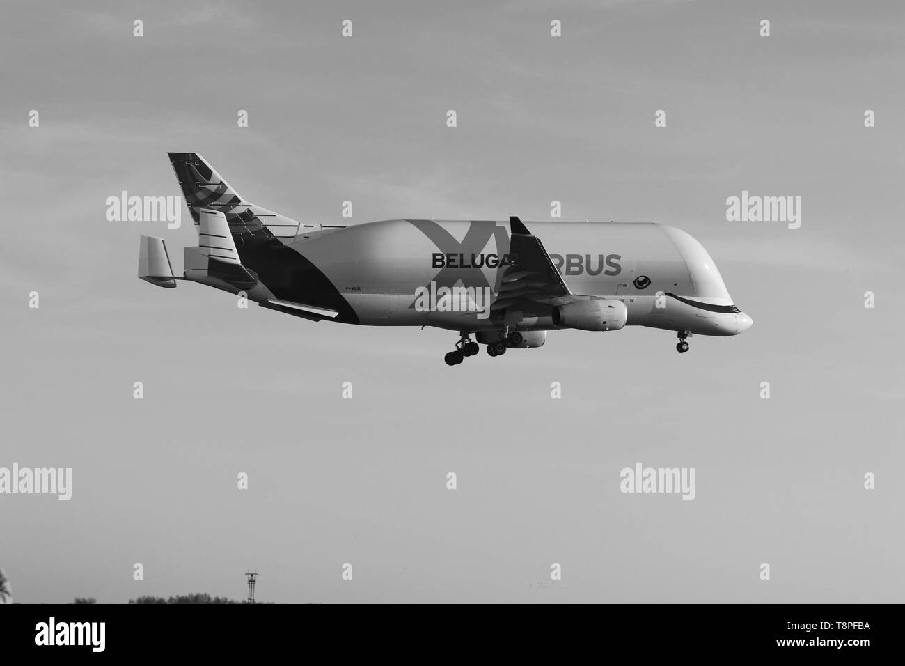 Airbus new Beluga XL landing for the first time at Hawarden airport ...
