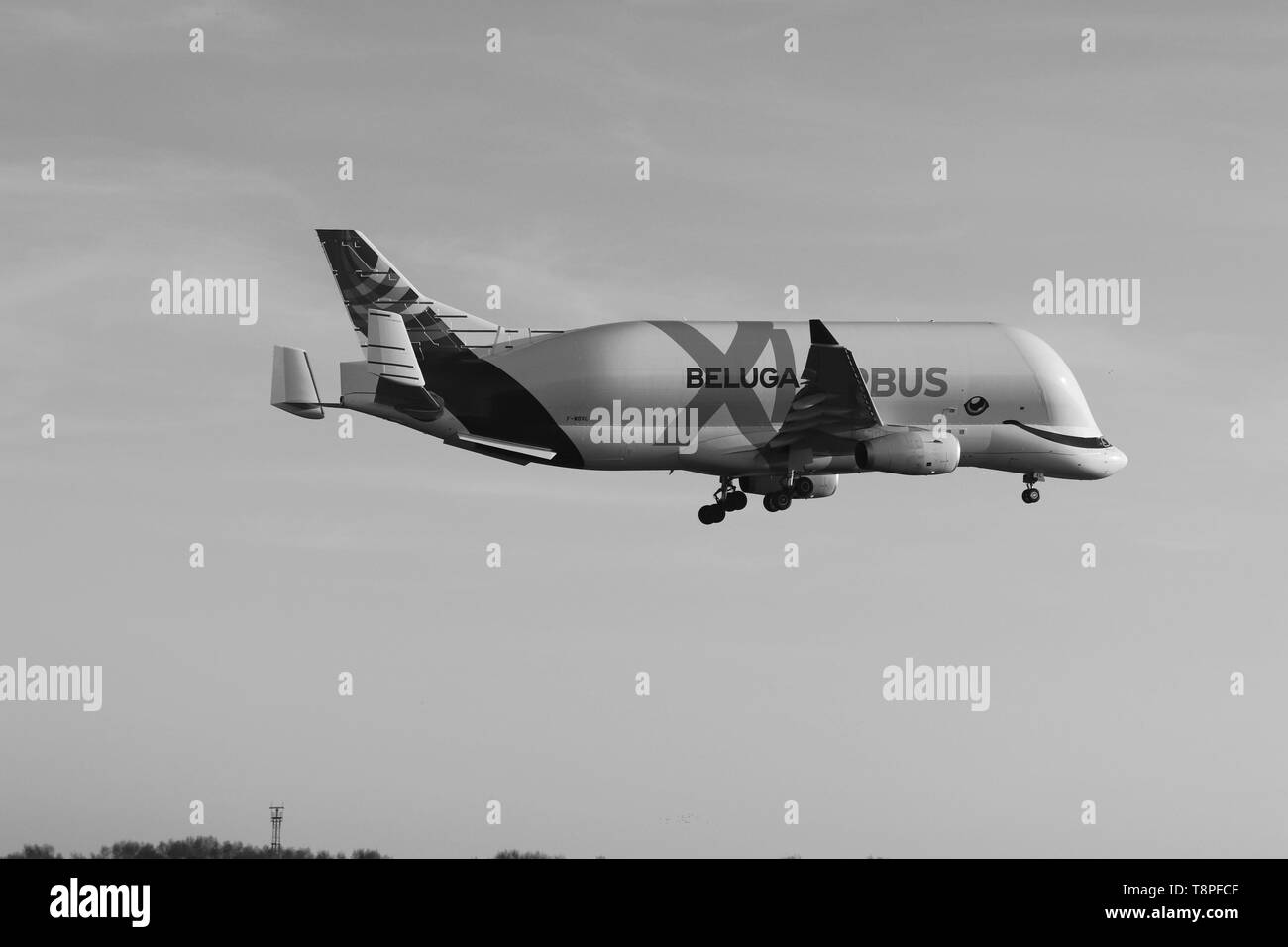 Airbus new Beluga XL landing for the first time at Hawarden airport ...