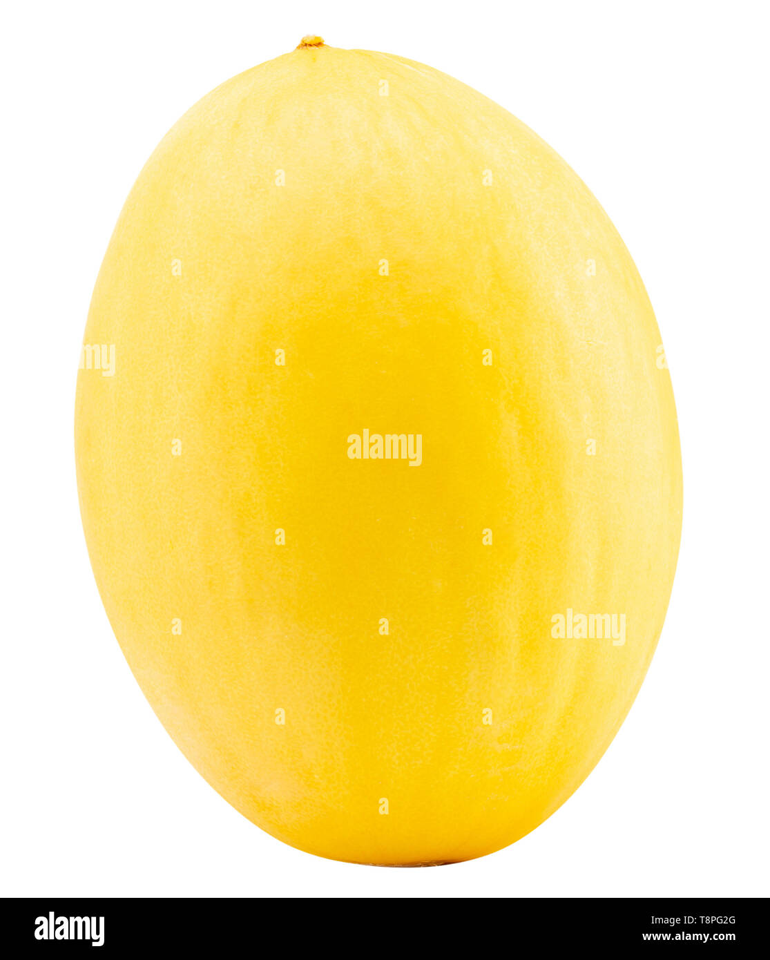 yellow melon isolated on a white background Stock Photo - Alamy