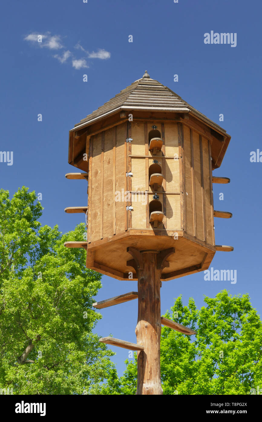The wooden dovecote on the background of the blue sky. A large pigeon ...