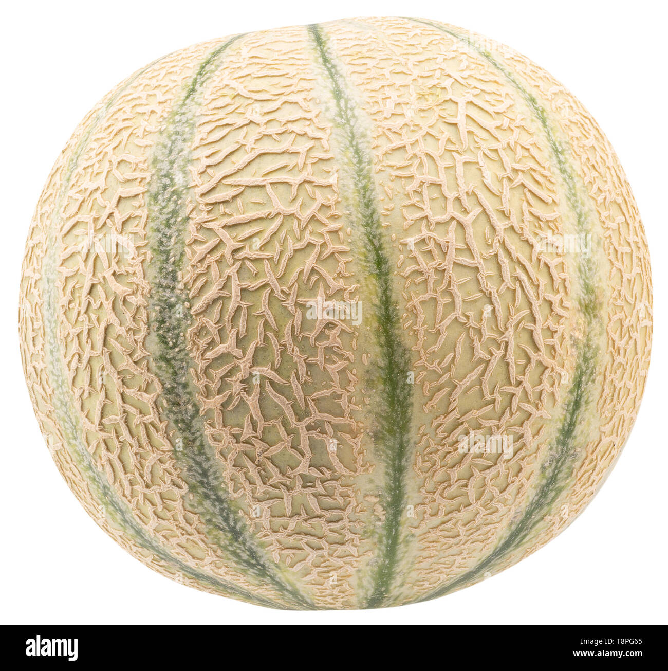 melon isolated on a white background Stock Photo - Alamy