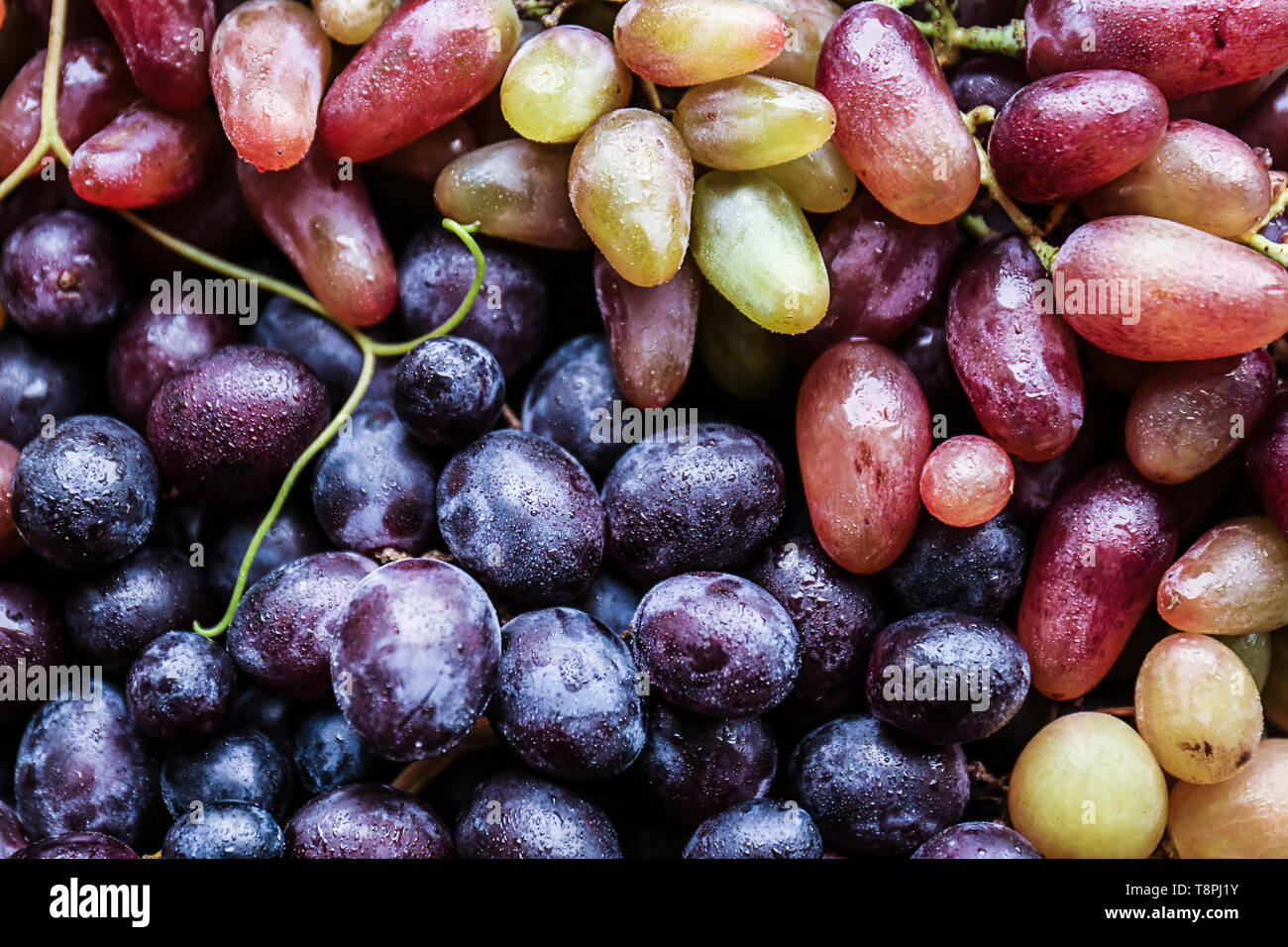 Different types of sweet grapes Stock Photo - Alamy