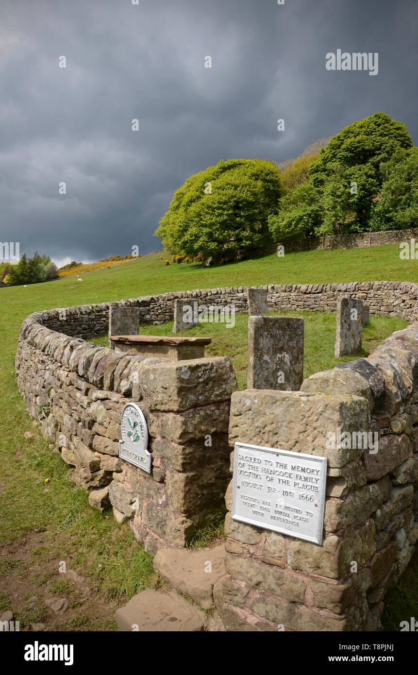 Riley graves hi-res stock photography and images - Alamy