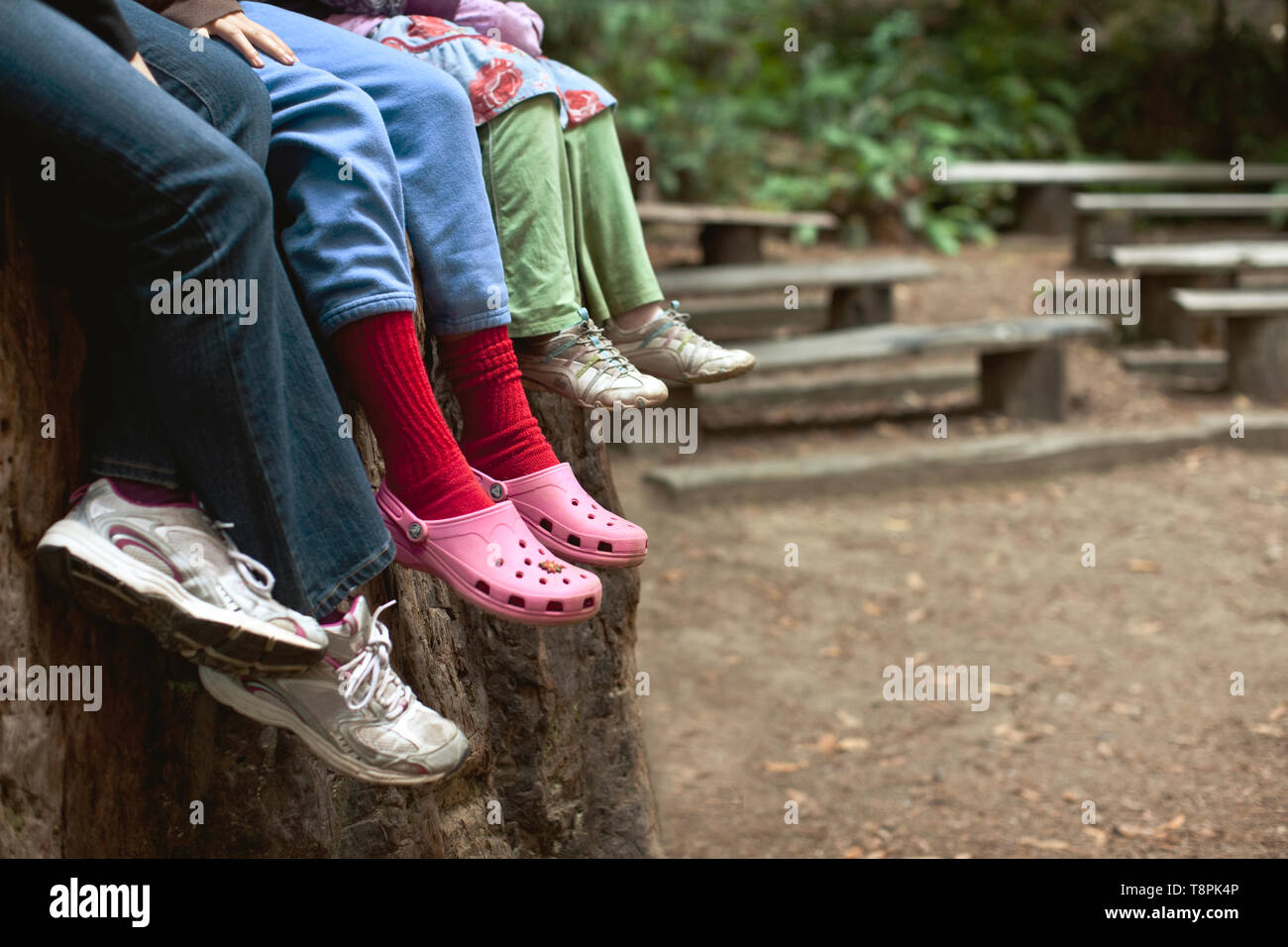 Three stump feet hi-res stock photography and images - Alamy
