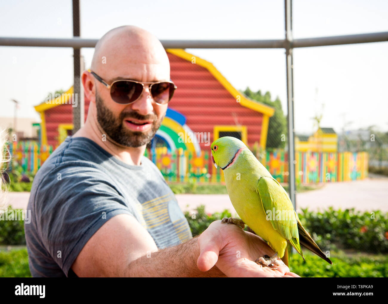 man holding small green parakeet bird inside enclosure for wildlife ...