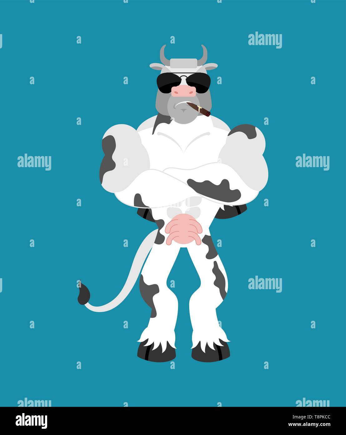 Cow Strong Cool serious. Farm animal strict. Vector illustration Stock ...