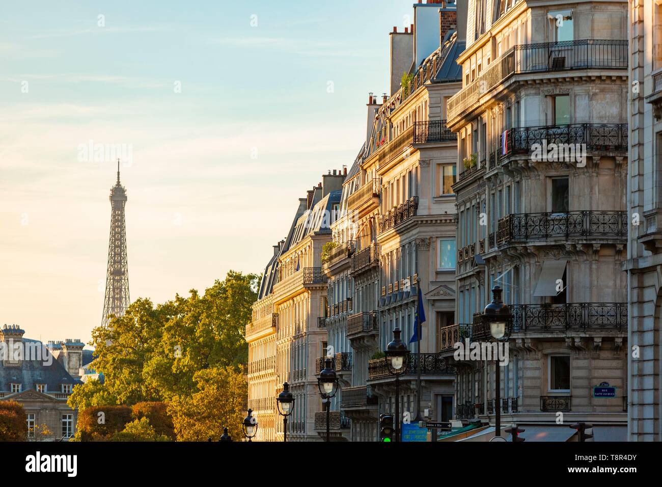 France, Paris, Haussmann buildings in the 7th arrondissement and the ...
