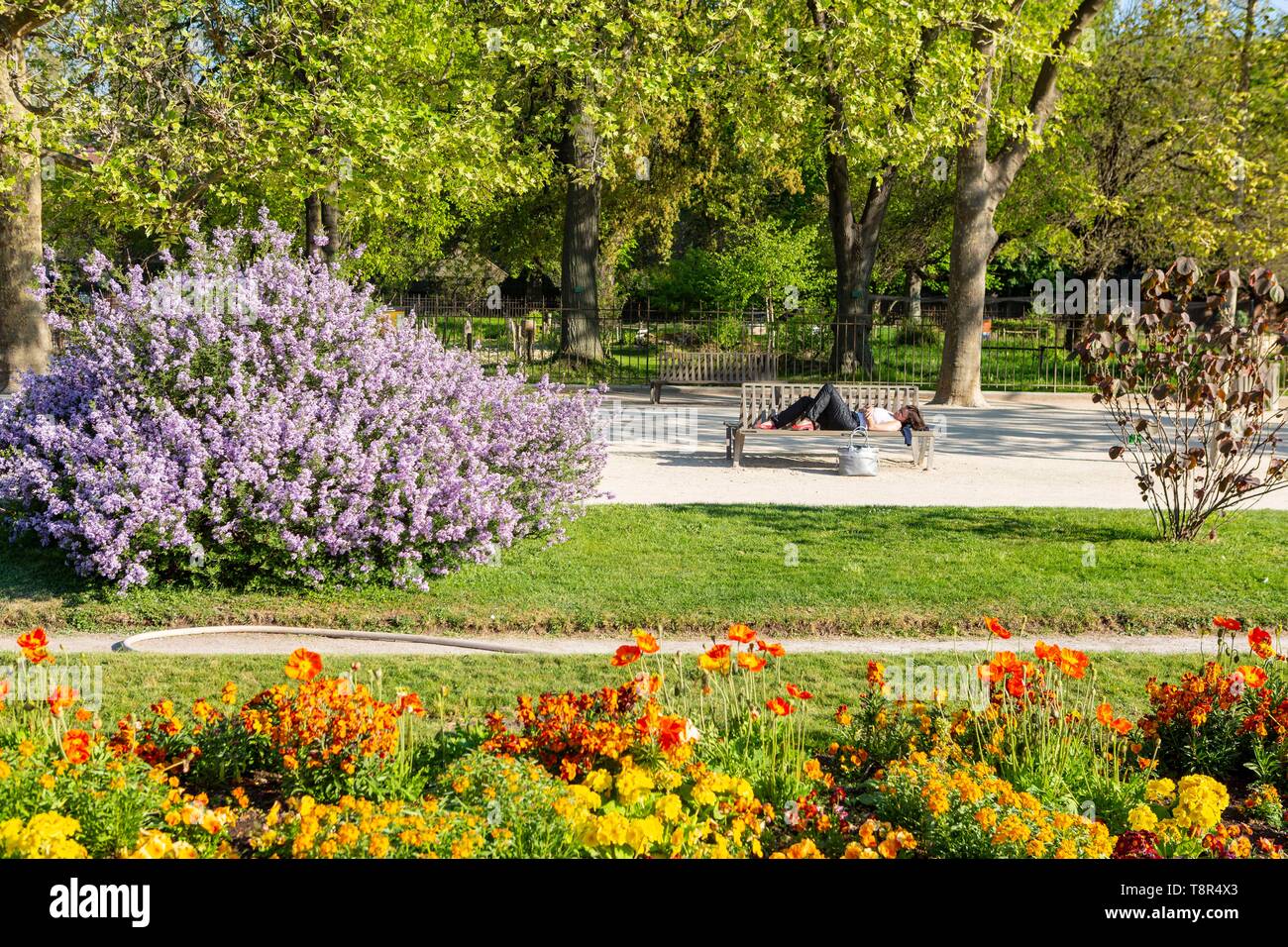 France, Paris, the Garden of Plants Stock Photo - Alamy