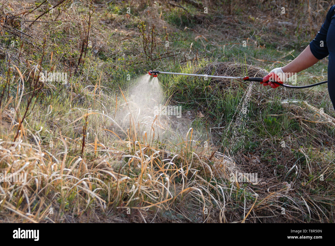 Herbicide spray on weeds hi-res stock photography and images - Alamy