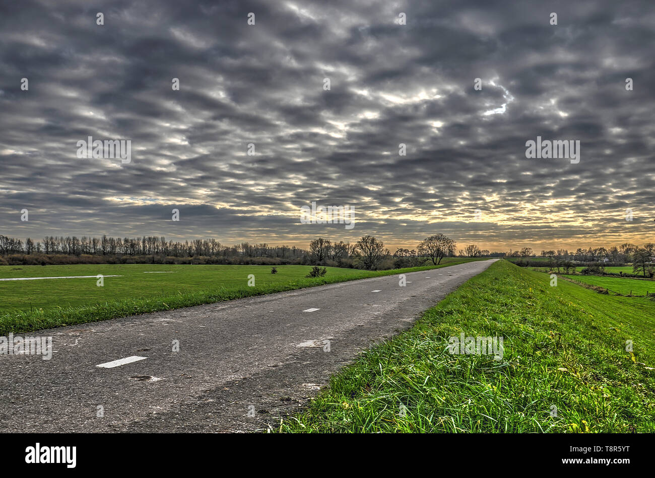 Asphalt road on a dike near Zaltbommel, The Netherlands under a ...