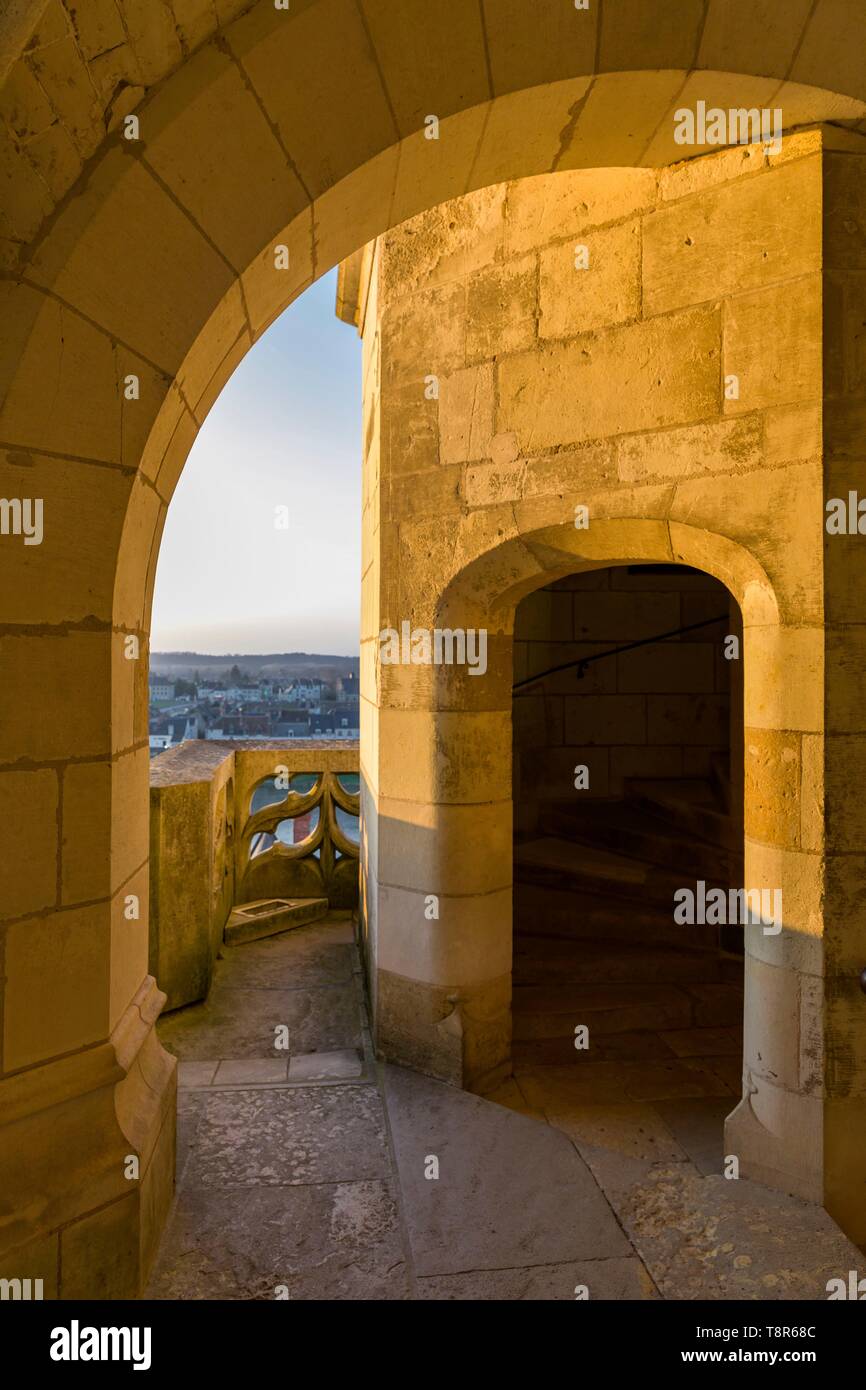 France, Indre et Loire, Loire valley listed as World Heritage by UNESCO ...