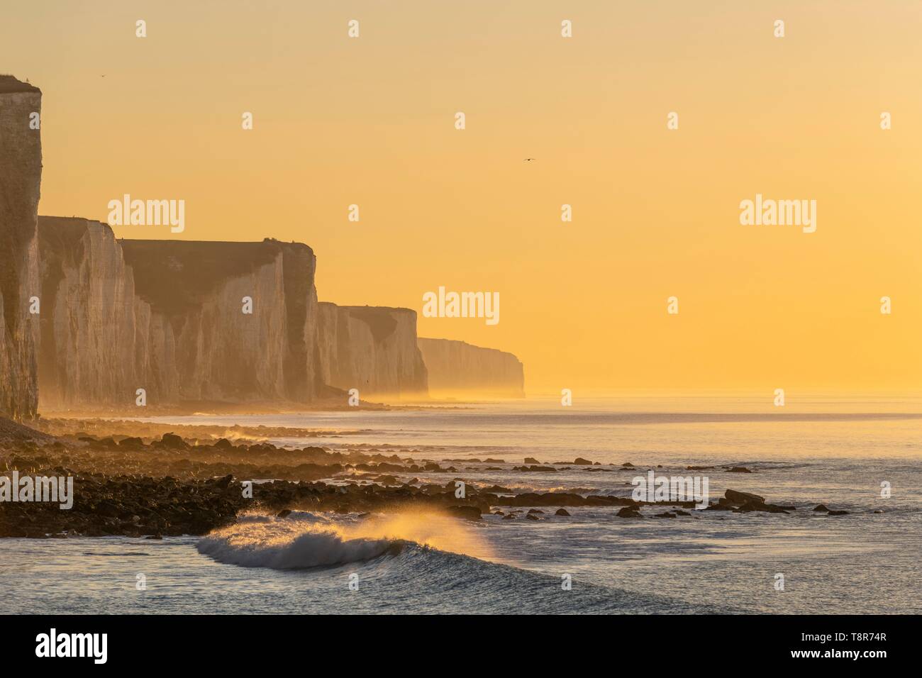 France, Somme, Picardy Coast, Ault, twilight at the foot of the cliffs ...