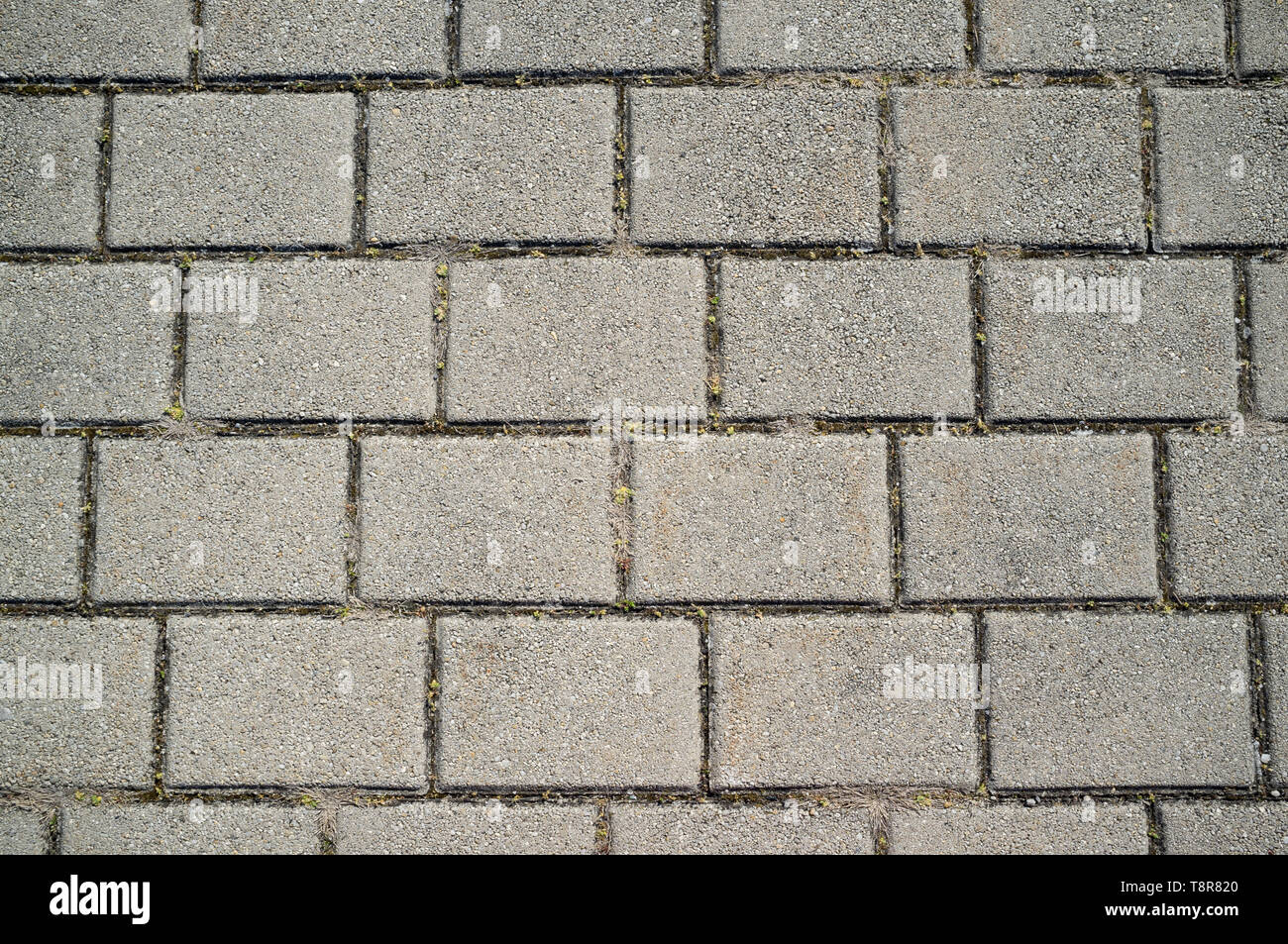 Texture of Concrete Paving Detail with Grass Growing from Cracks Stock ...