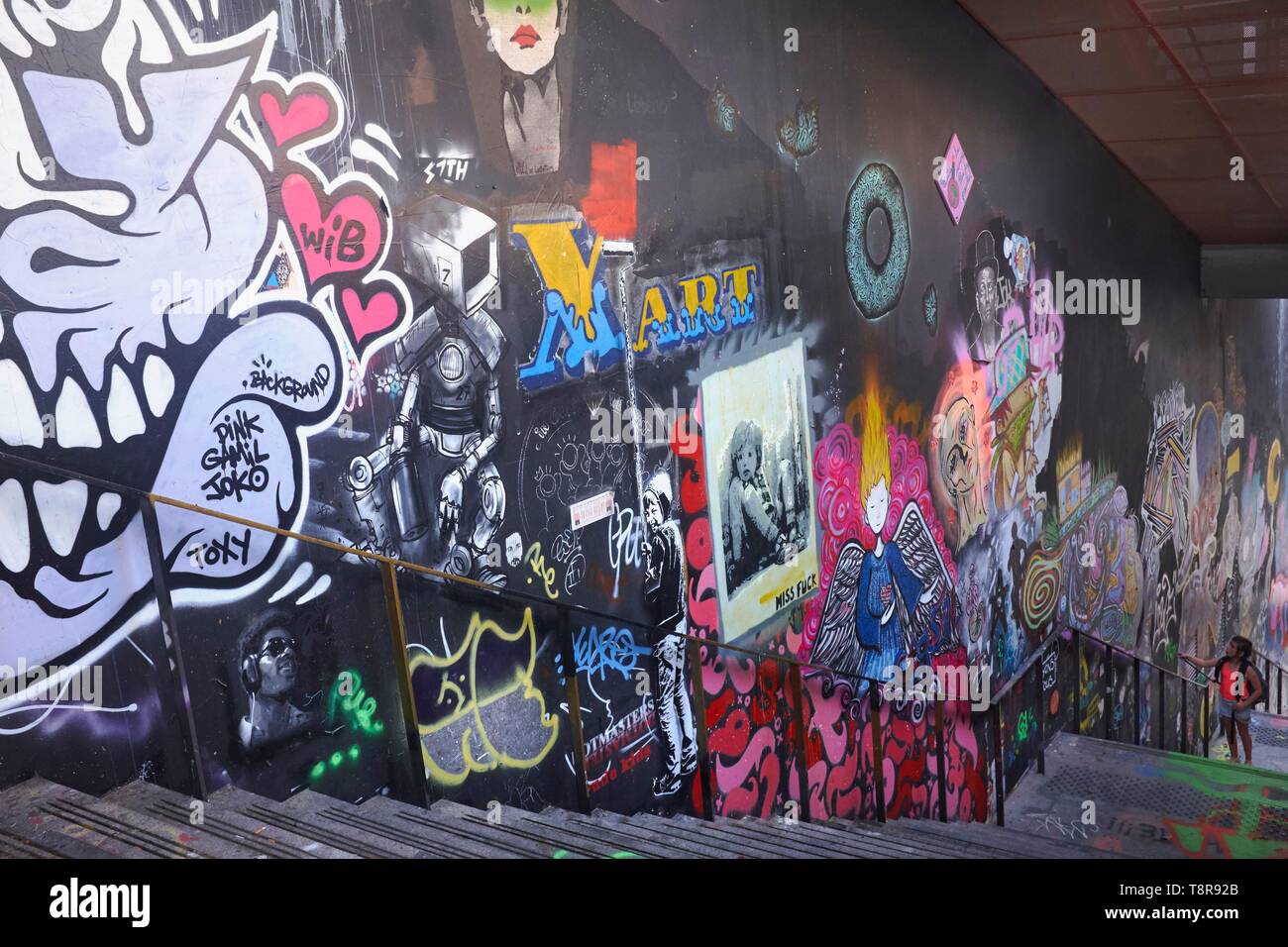 France, Paris, boulevard du General d'Armee Jean Simon, graffiti wall ...