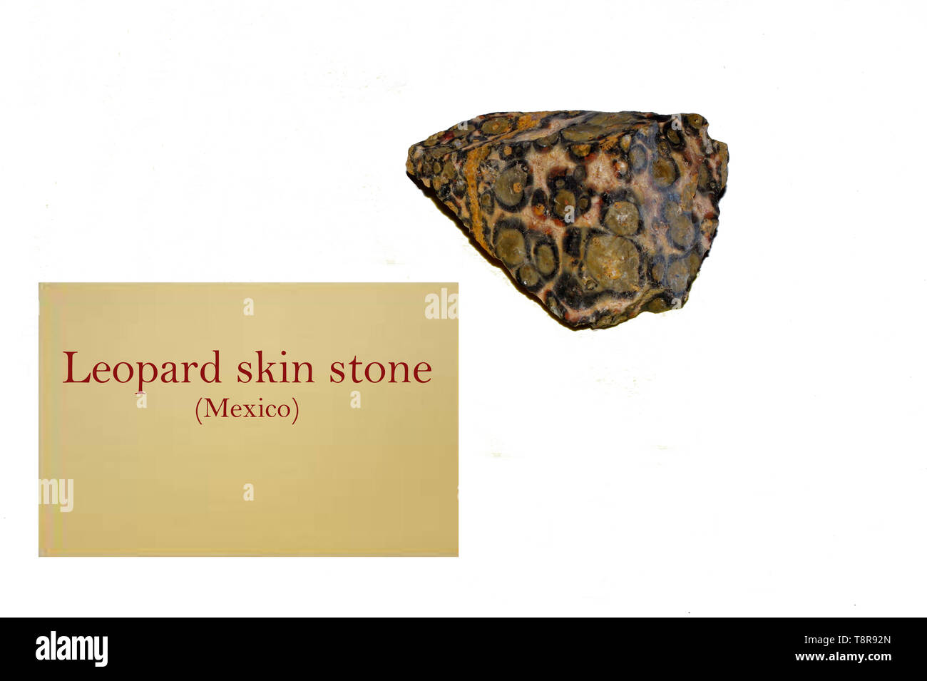 Leopard skin stone of Mexico close-up Stock Photo - Alamy
