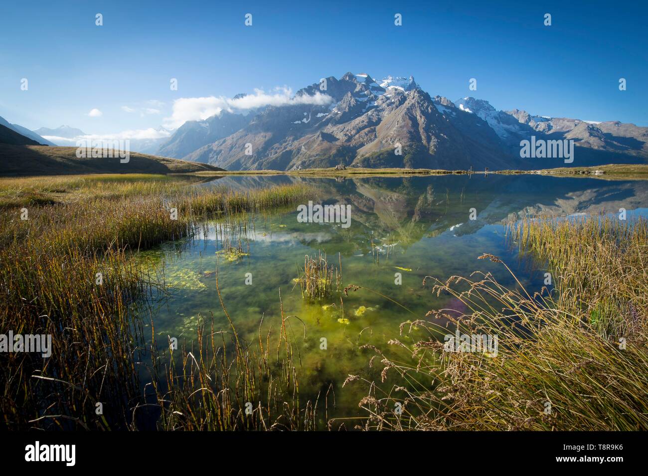 France, Hautes Alpes, The massive Grave of Oisans, Lake Pontet mirror ...
