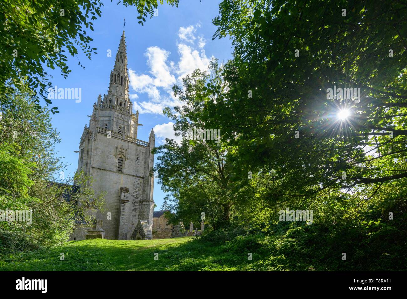 Nicodeme High Resolution Stock Photography and Images - Alamy