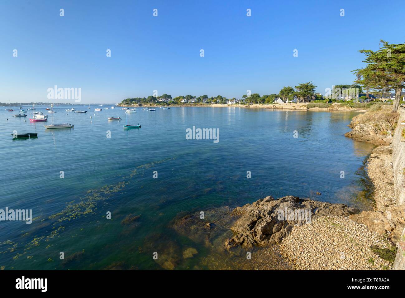Port navalo arzon morbihan brittany hi-res stock photography and images ...