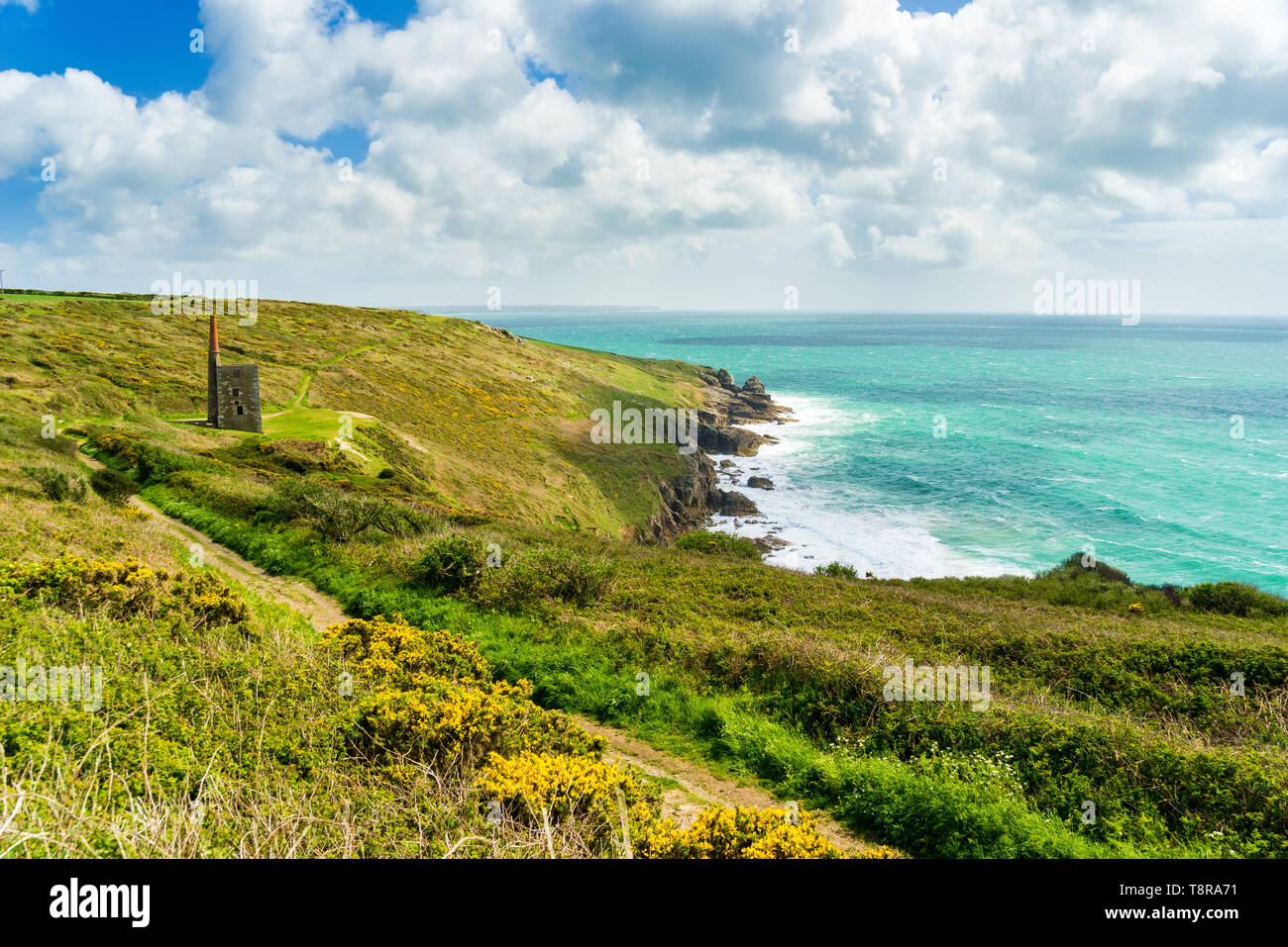 On the coast path at Rinsey Cornwall England UK Europe Stock Photo - Alamy