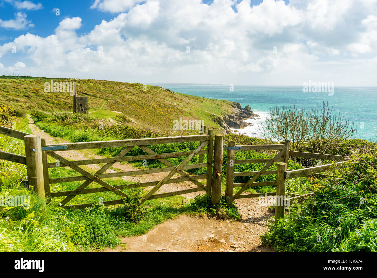 On the coast path at Rinsey Cornwall England UK Europe Stock Photo - Alamy
