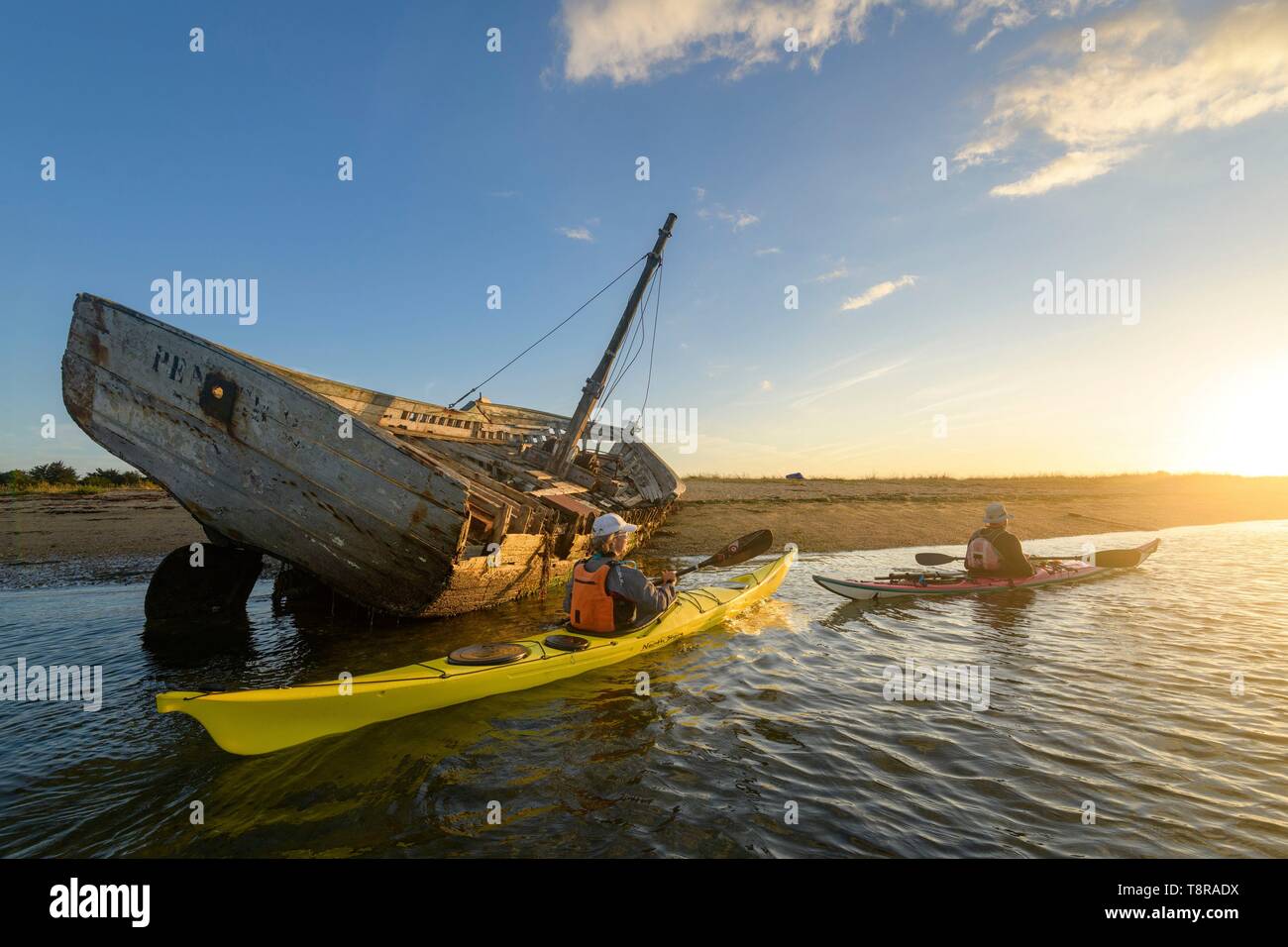 France, Morbihan, Arz Island, canoe kayak trip in the Gulf of Morbihan ...