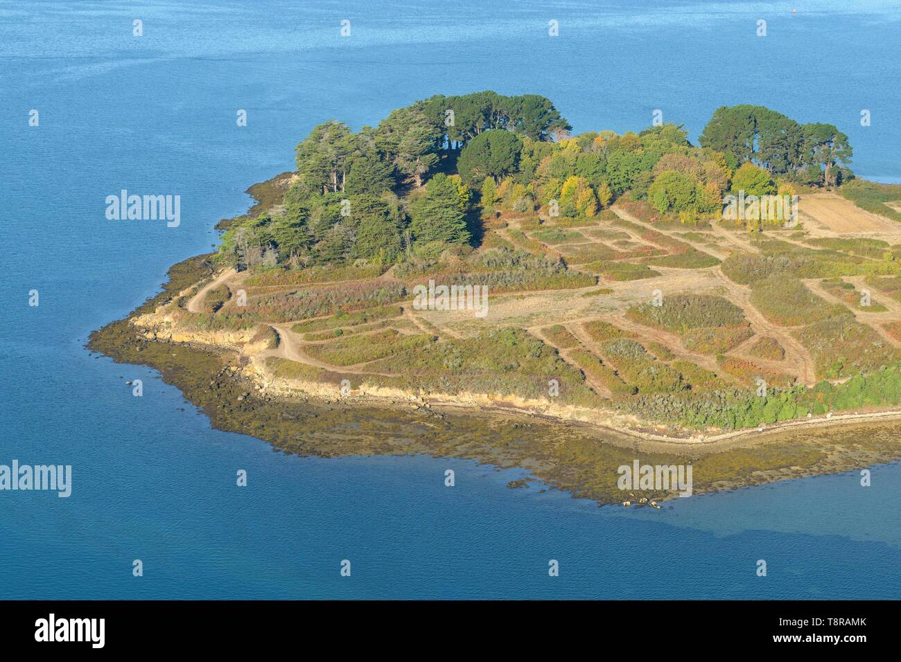 France, Morbihan, Ile-d'Arz, aerial view of the Gulf of Morbihan and ...