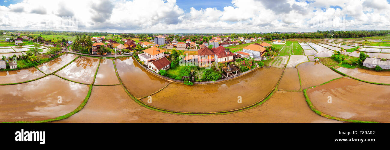 The rice fields are flooded with water. Flooded rice paddies. Agronomic ...