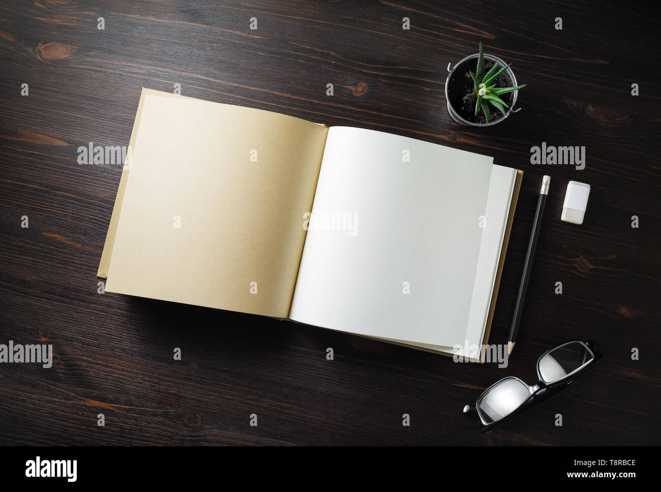 Open book with plant and stationery hi-res stock photography and images ...