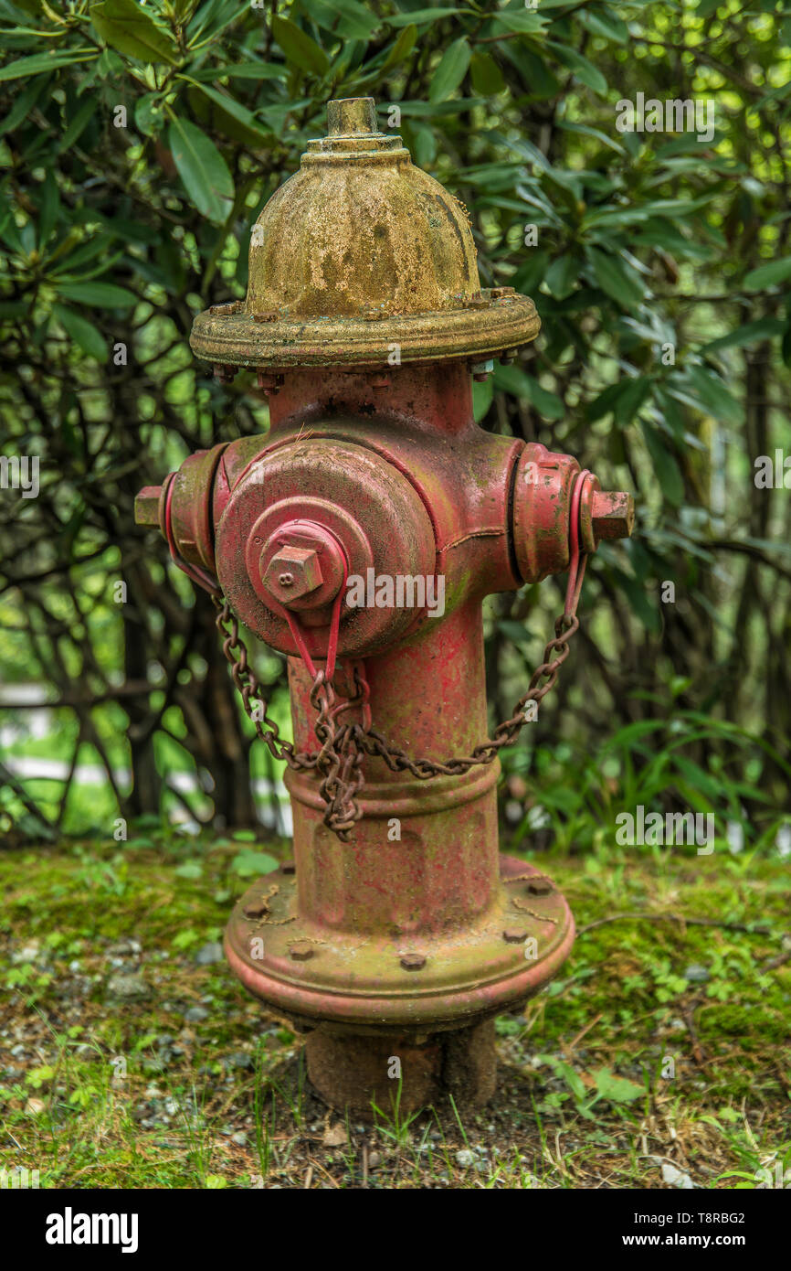 An old fire hydrant with chipping paint still in use along a rural road ...