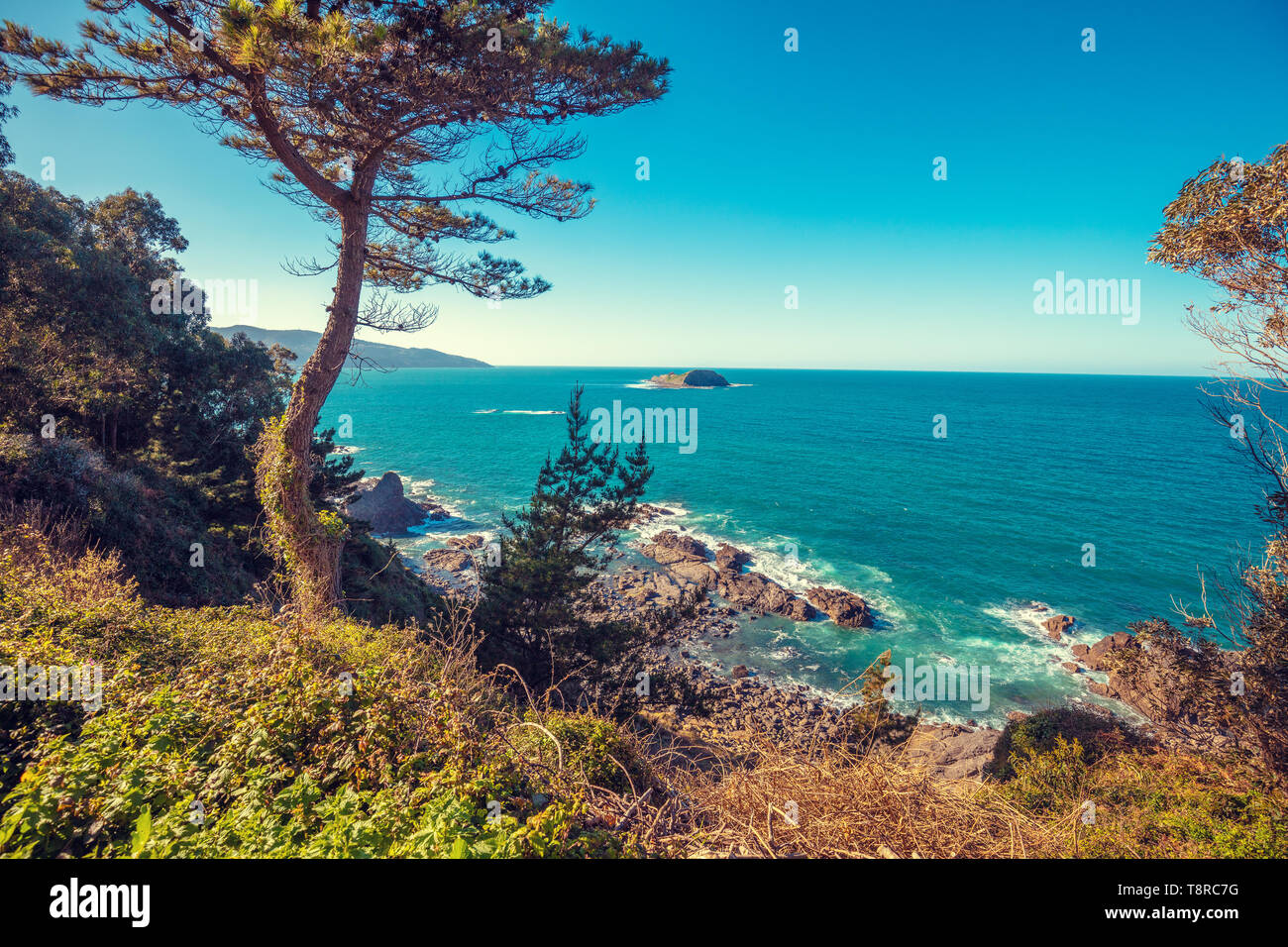 Ocean and beautiful bay. Biscay, Basque Country, Spain, Europe Stock ...
