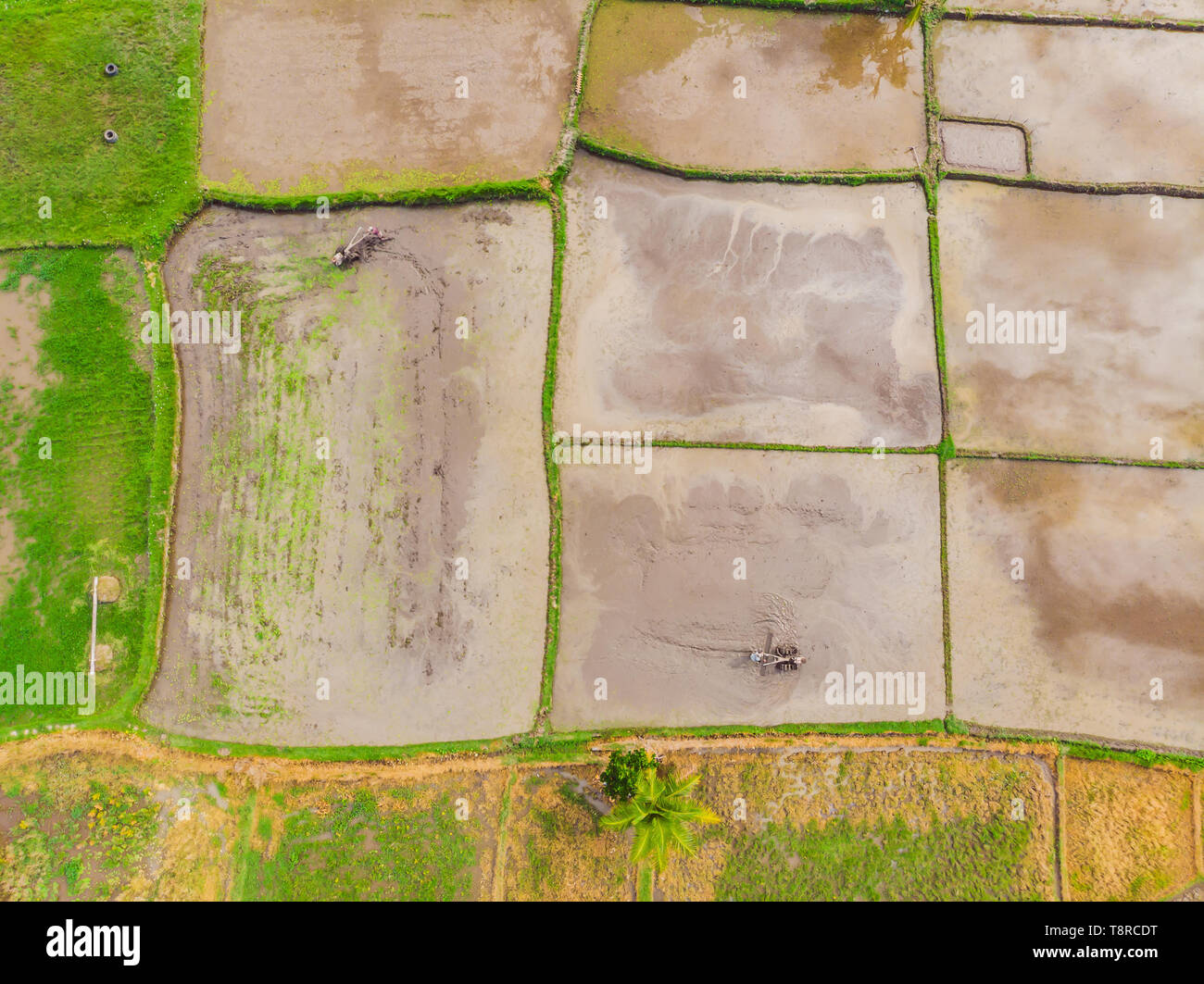 Water wheel rice field rice hi-res stock photography and images - Alamy